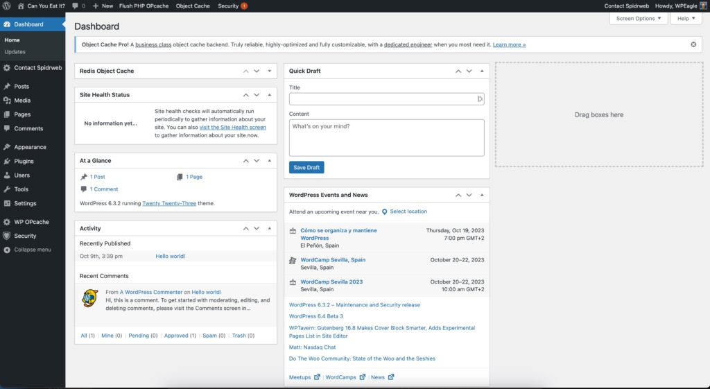How to Start a WordPress Website - WP Eagle