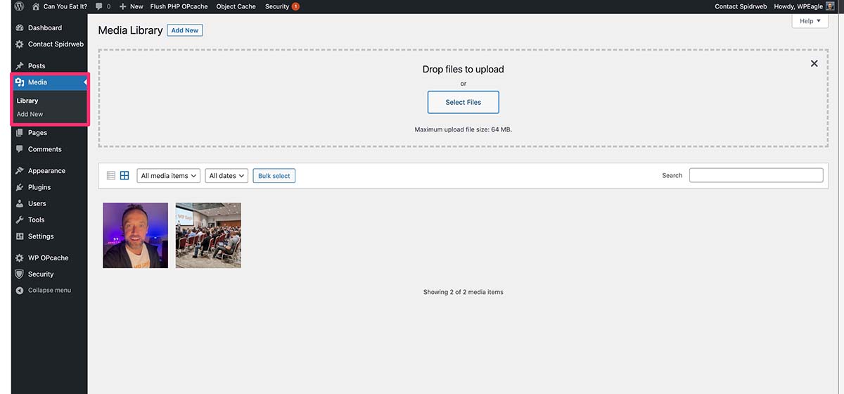 How to Start a WordPress Website - WP Eagle