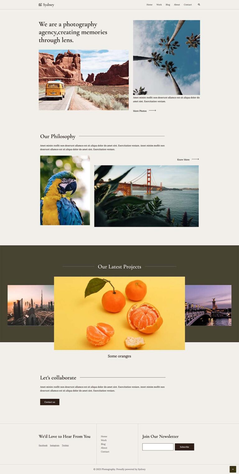The Best Free Themes for WordPress 2024 - WP Eagle