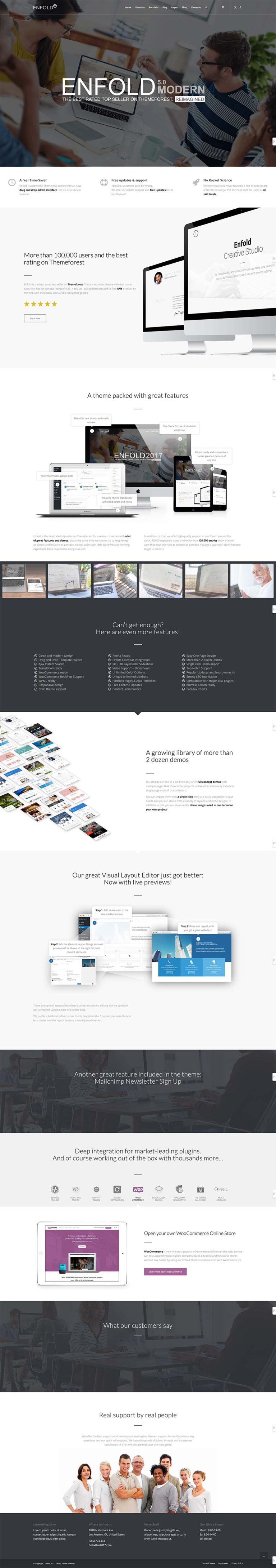 The Best Premium Themes for WordPress 2024 - WPEagle